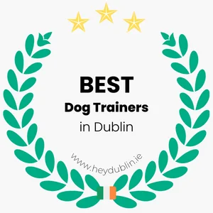 Dublin Dog Owners Reveal 5 Trainers That Actually Work 2025 | HeyDublin