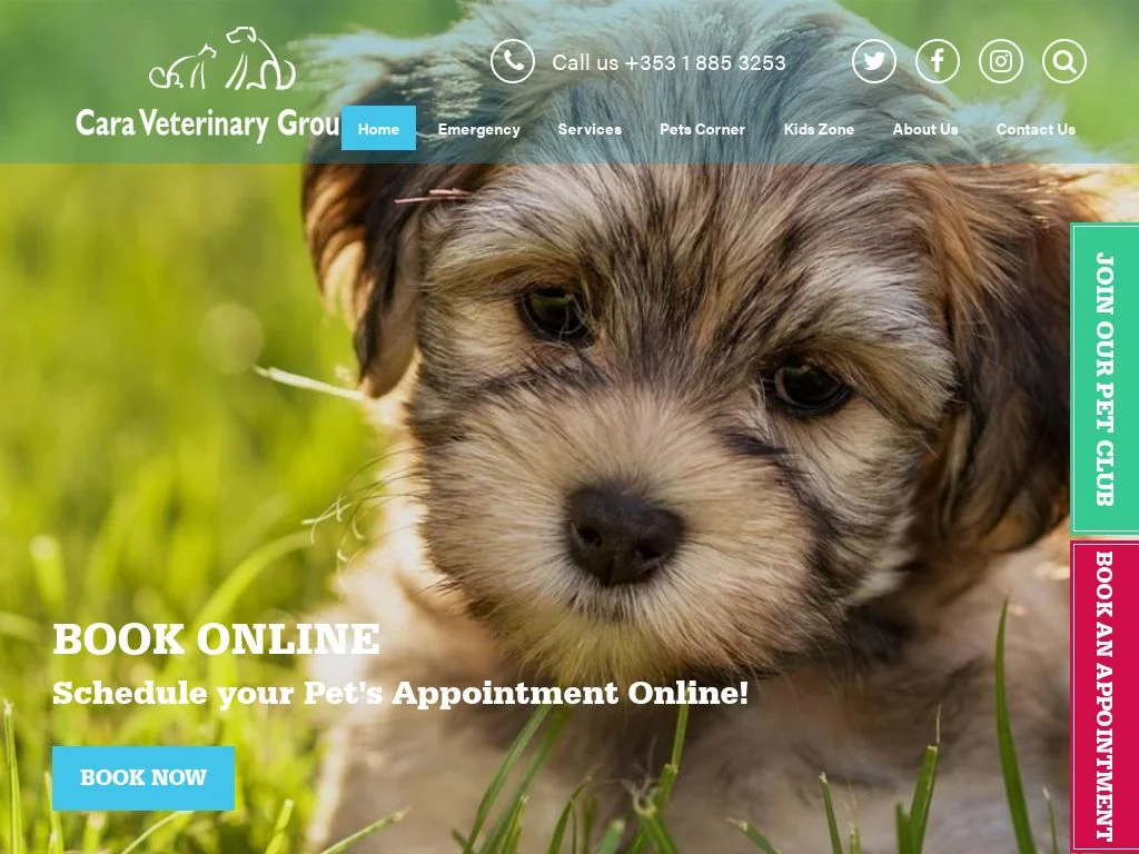→ BEST Vets In Dublin 2026: Caring Clinics Pet Owners Recommend | HeyDublin