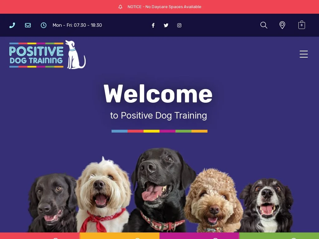 Dublin Dog Owners Reveal 5 Trainers That Actually Work 2025 | HeyDublin