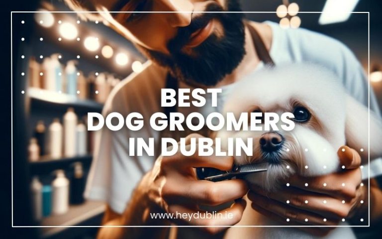 Where Dublin Dog Owners Actually Take Their Pets for Grooming | HeyDublin