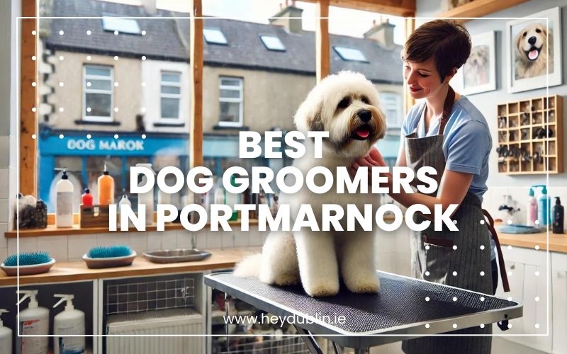 → Best Dog Groomers in Portmarnock: Your Pet Deserves the Best (2025) | HeyDublin