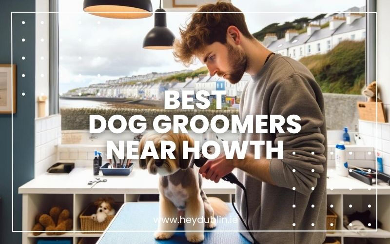 → Best Dog Groomers near Howth: Top Choices for a Happy Pet (2026 ...