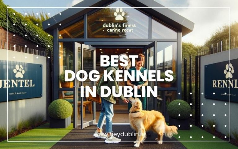 → Best Dog Kennels In Dublin: 2026's Insider Favourites (Must-Visit ...