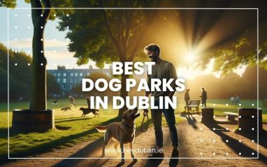 → Transform Clay into Art: Best Pottery Studios in Dublin (Curated ...