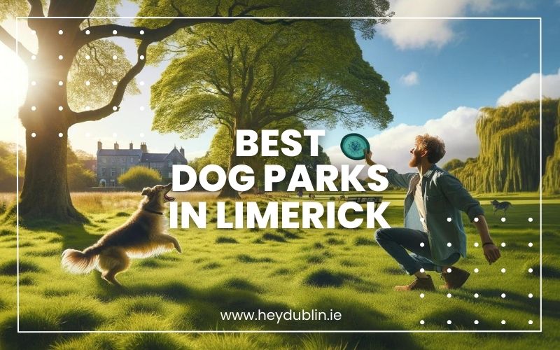 → Best Dog Parks in Limerick Every Pet Will Love: Paw-some Places (2025 ...