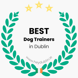 Dublin Dog Owners Reveal 5 Trainers That Actually Work 2025 | HeyDublin