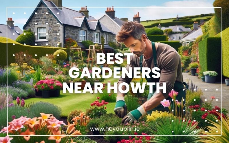→ Best Gardeners near Howth: Top Choices for Beautiful Gardens (2026 ...