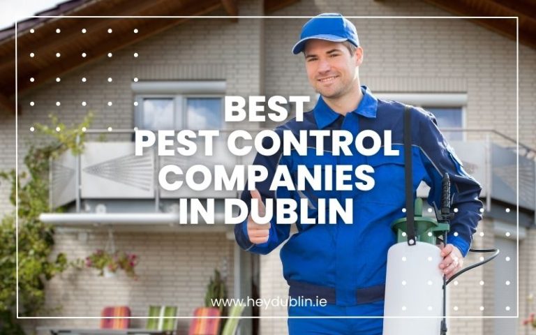 → Experience the Best Public Swimming Pools In Dublin (Handpicked 2025 ...