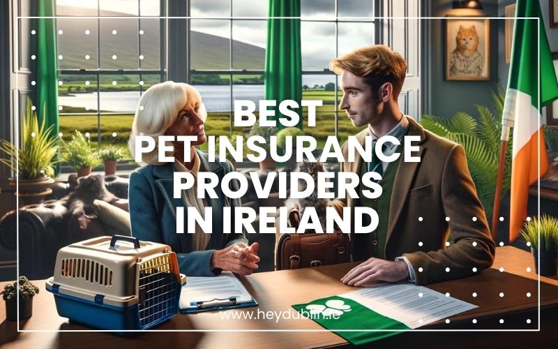 Best Car Insurance Ireland 2025 (Money-Saving Tips) | HeyDublin