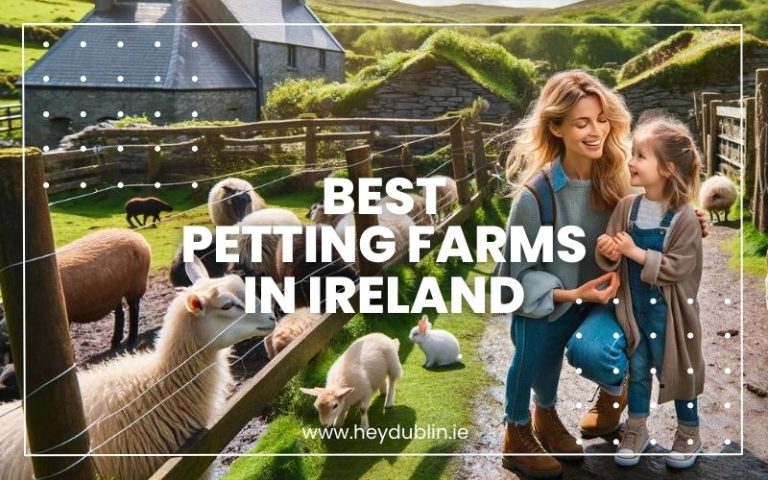 → Best Petting Farms in Ireland: Family Fun Awaits 2025 | HeyDublin