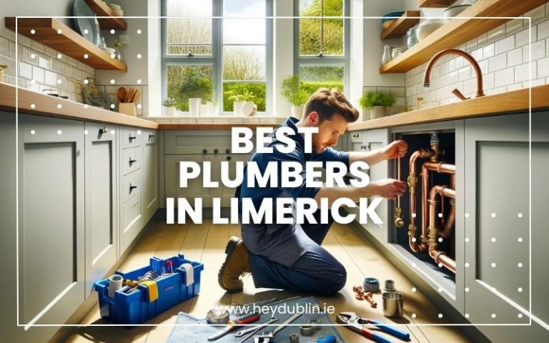 Top Limerick Emergency Plumbers 2025 (Price Guide & Response Times) | HeyDublin
