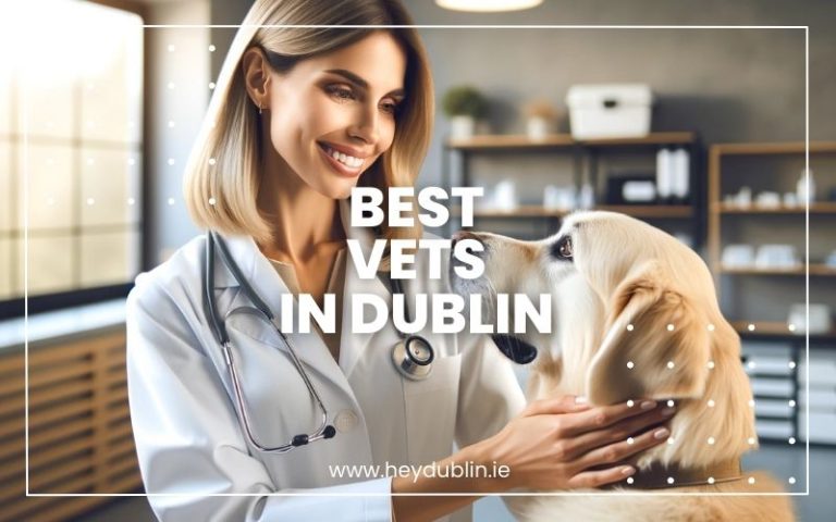 → BEST Vets In Dublin 2026: Caring Clinics Pet Owners Recommend | HeyDublin