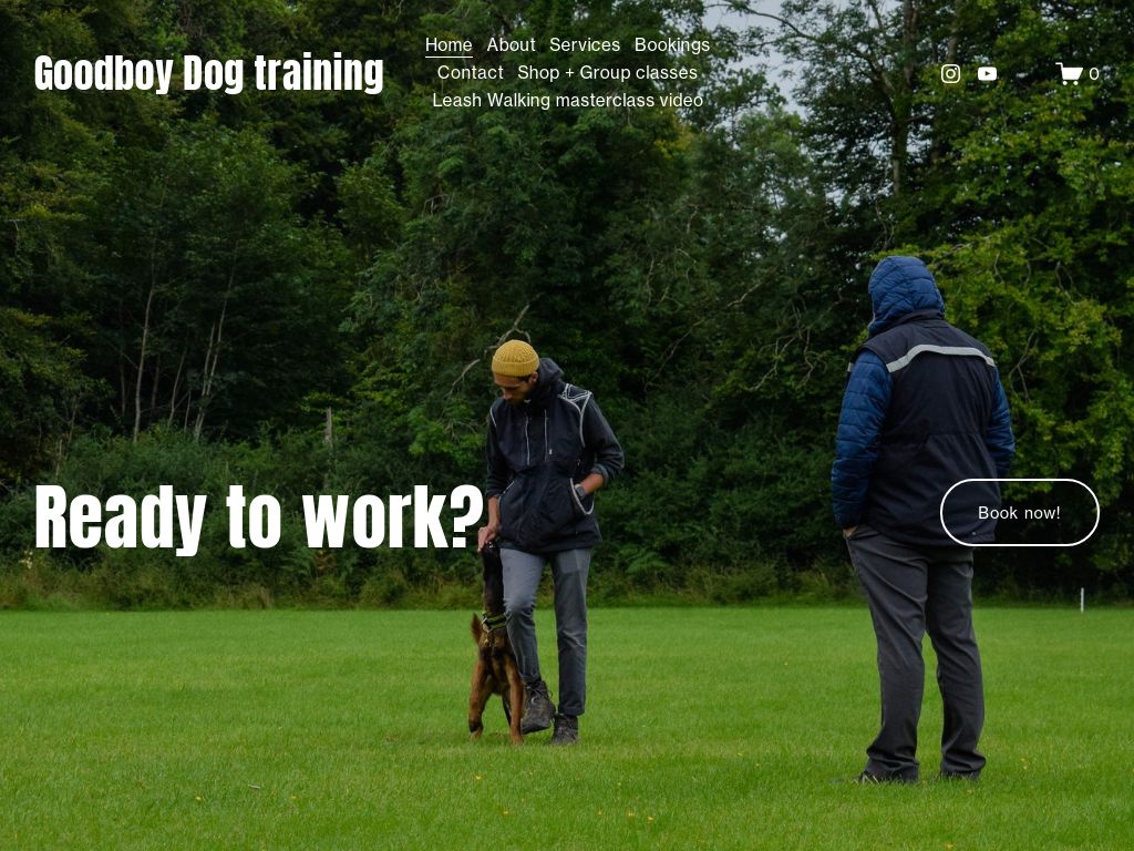 Dublin Dog Owners Reveal 5 Trainers That Actually Work 2025 | HeyDublin