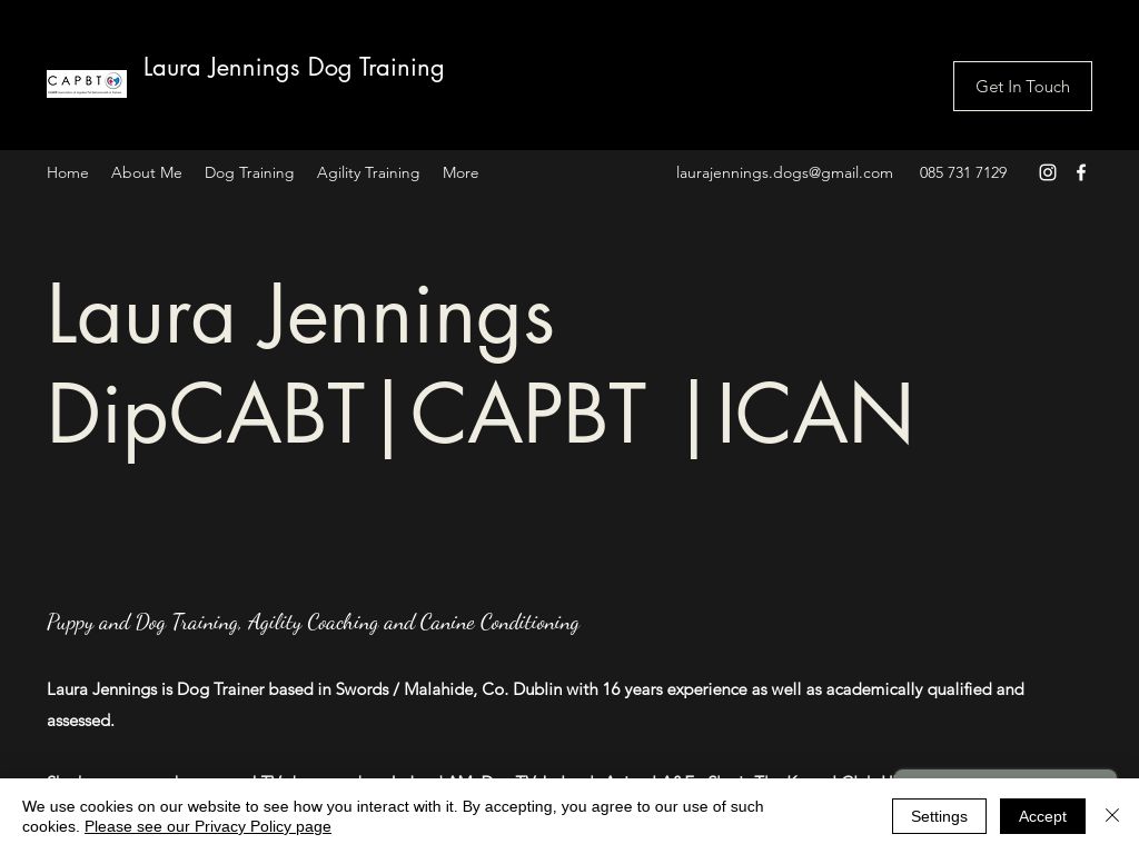 Dublin Dog Owners Reveal 5 Trainers That Actually Work 2025 | HeyDublin