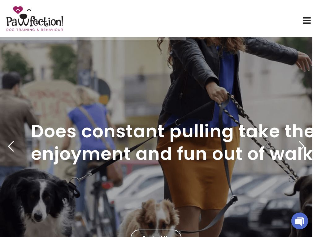 Dublin Dog Owners Reveal 5 Trainers That Actually Work 2025 | HeyDublin