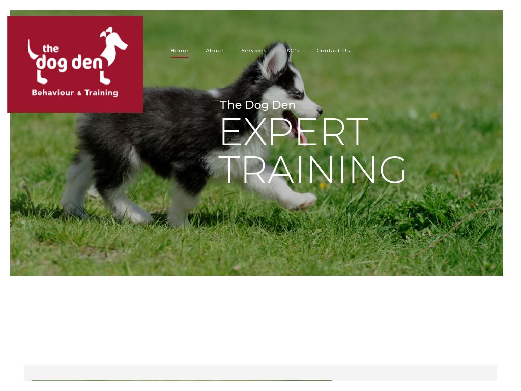 Dublin Dog Owners Reveal 5 Trainers That Actually Work 2025 | HeyDublin